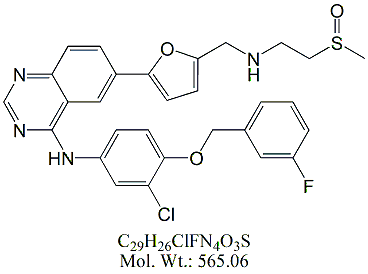 STB00B: Selatinib : 100 MG – Molcan