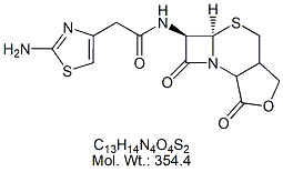 CTH54B: Cefotiam Lactone – Molcan